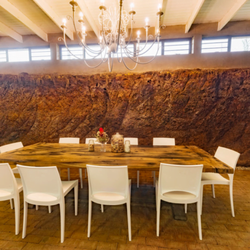 Gallery - Nitida Wine Farm