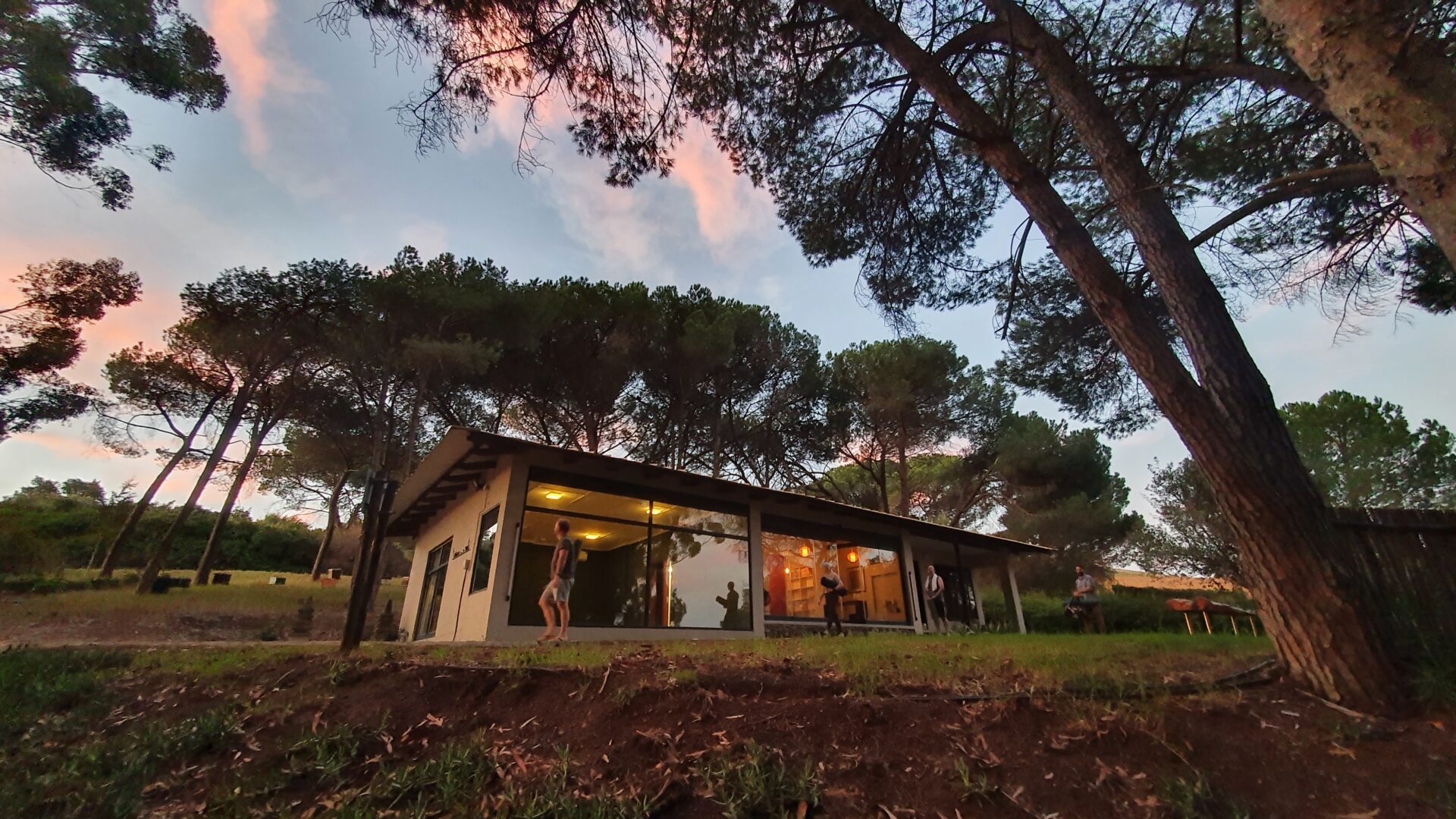 Home - Nitida Wine Farm
